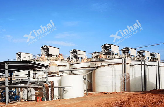 Carbon-in-Leach Flow Diagram (CIL) for Gold Extraction